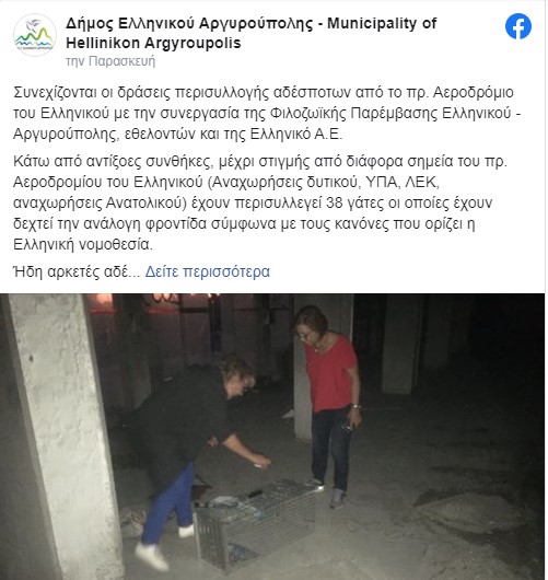Ελληνικό αδέσποτα: Ανησυχία για τους έως τώρα «κατοίκους» του πρώην ...
